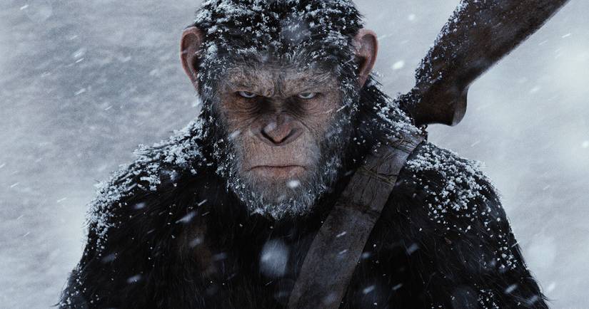 The Best Movies About Killer Apes & Monkeys, Ranked