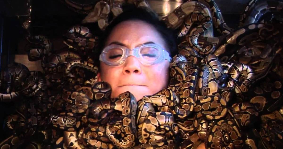 Fear Factor Reboot Is Happening on MTV