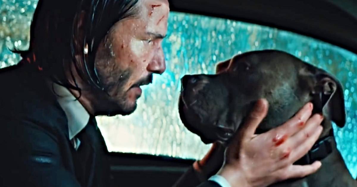 John Wick 4 Director Says Sequel's New Dog Has A Big Role To Play In ...