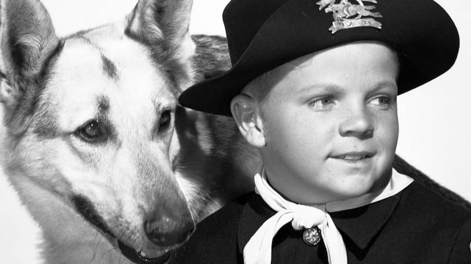 Lee Aaker Dies, The Adventures of Rin Tin Tin Star Was 77