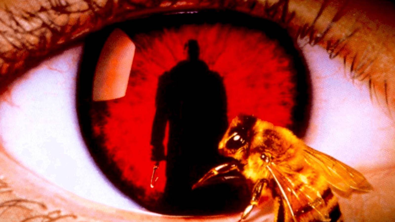 Jordan Peele's Candyman Reboot Begins Shooting in Chicago as More Join Cast