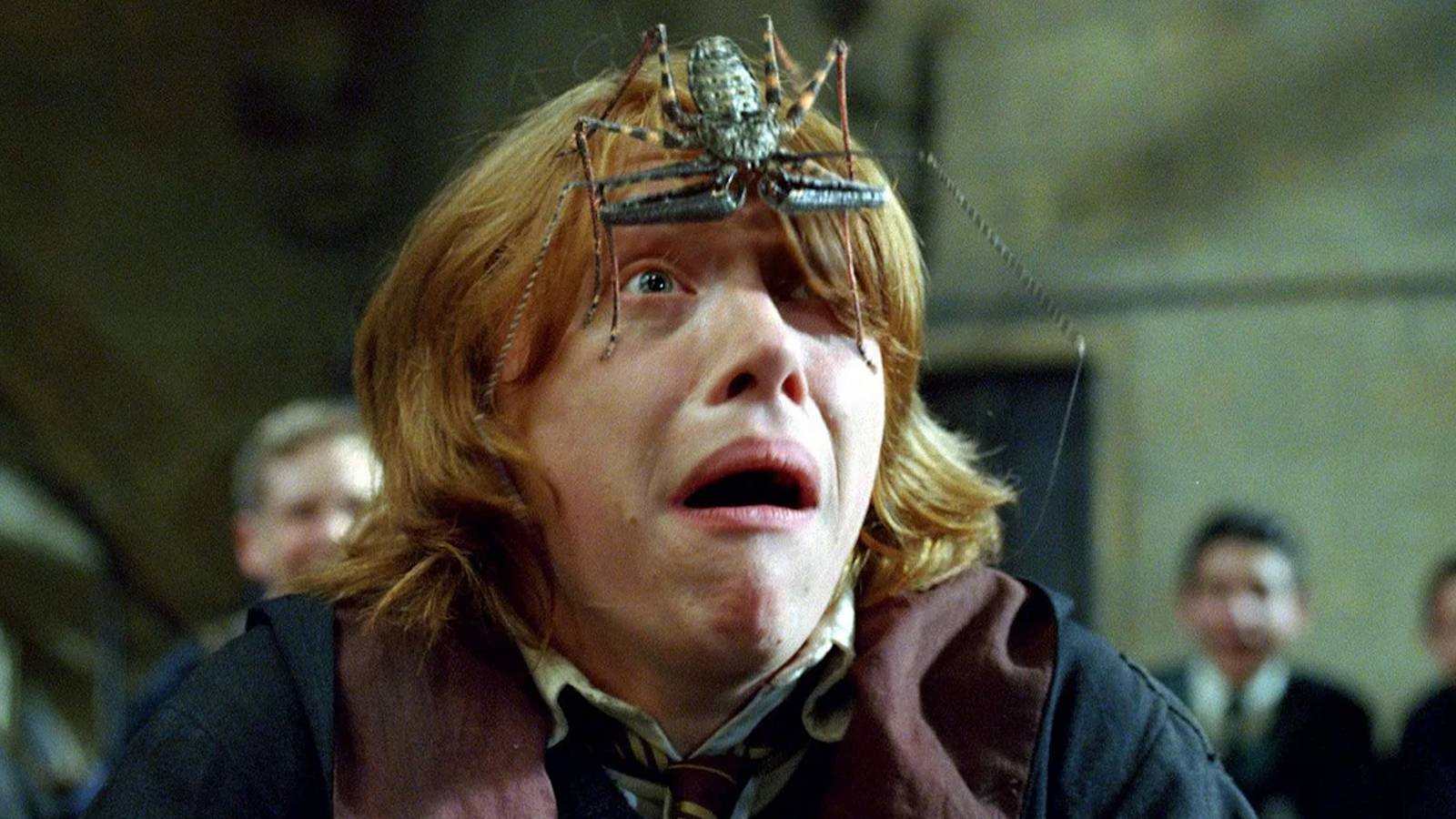 Filming Harry Potter Was a Suffocating Experience Says Star Rupert Grint