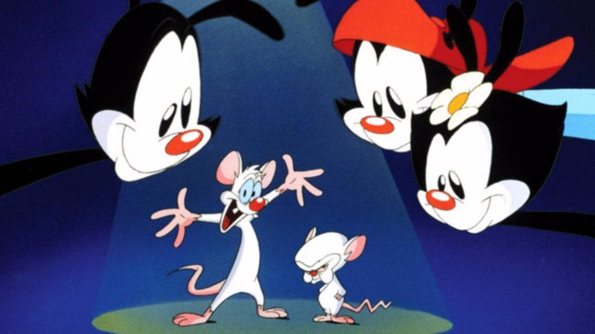 Animaniacs Revival Gets a Fall Release Date on Hulu