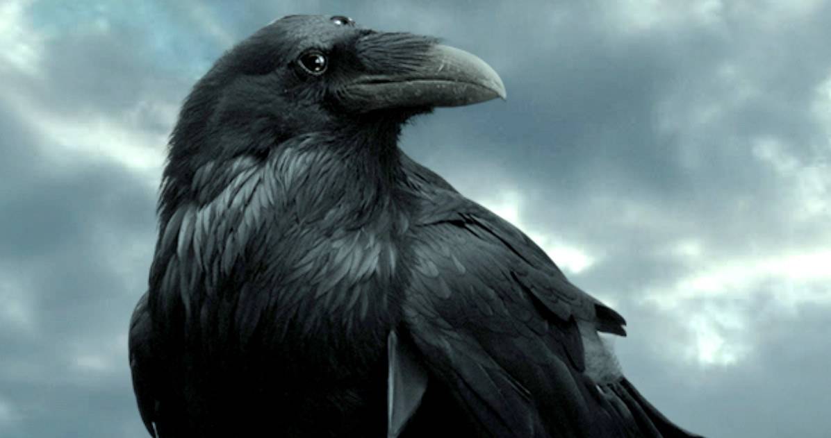 Game of Thrones Season 5 Teaser Announces New Website