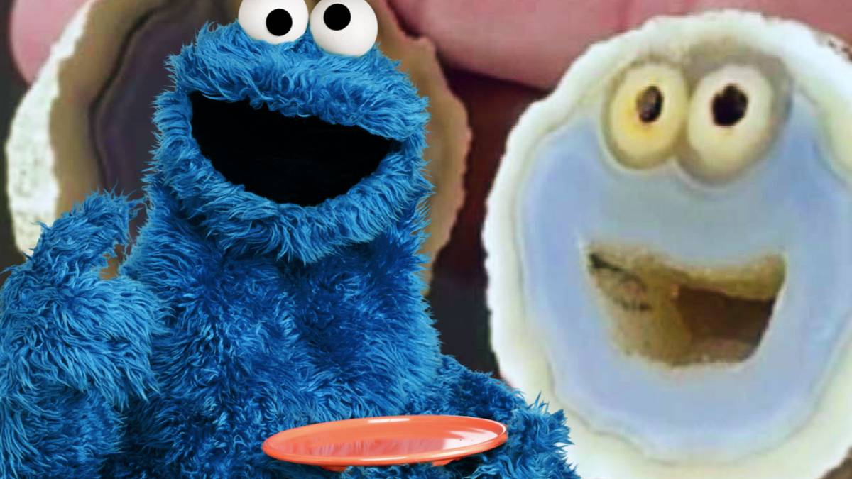 Rare Rock That Looks Exactly Like Cookie Monster Could Fetch $100K