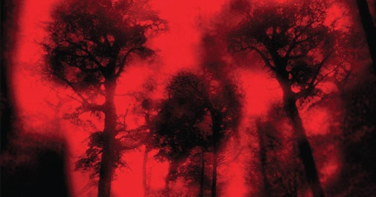 Cabin Fever Remake Is Coming in 2016