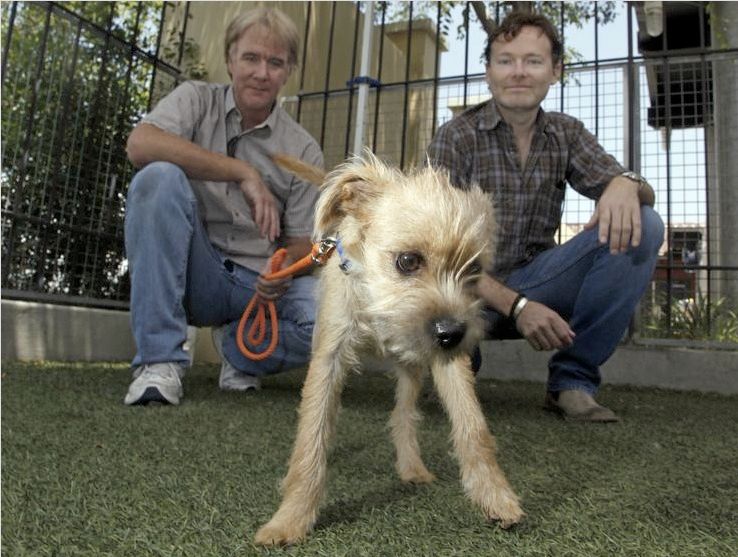 Benji Needs Your Help in Finding the Star of Brandon Camp's Upcoming Reboot