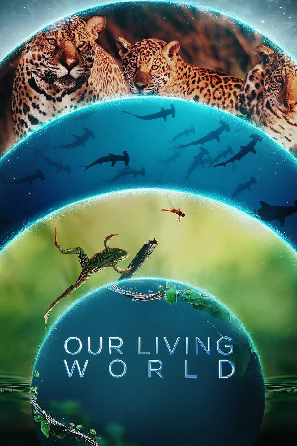 Earth Day: Our Living World Producer on His New Netflix Nature Series