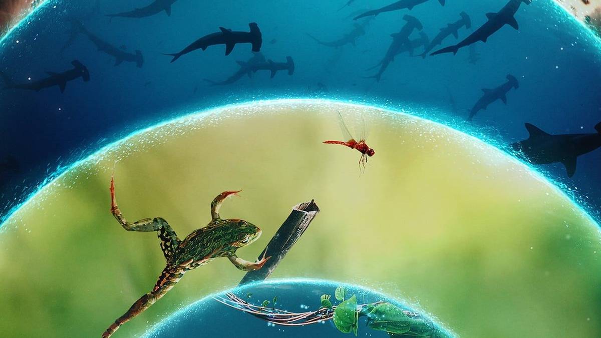 Our Living World | MovieWeb