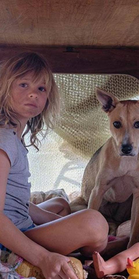 'Don't Let's Go to the Dogs Tonight' Review: War and Racism Through the ...