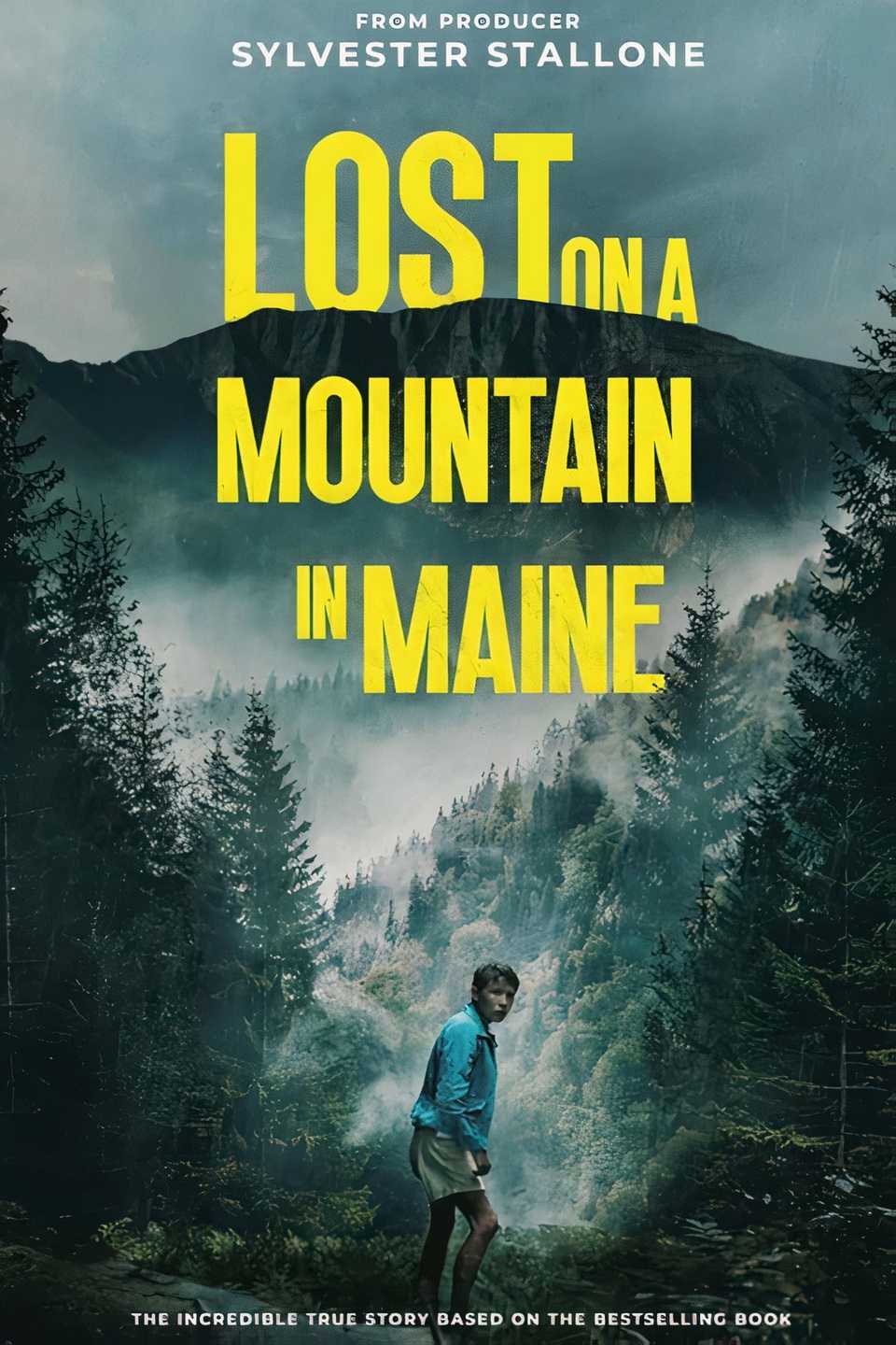 Lost on a Mountain in Maine Review: Predictable True Survival Drama