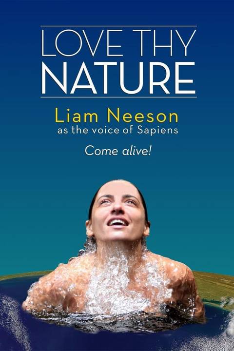 2014 Movies | MovieWeb