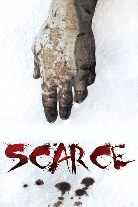 2008 Movies | MovieWeb