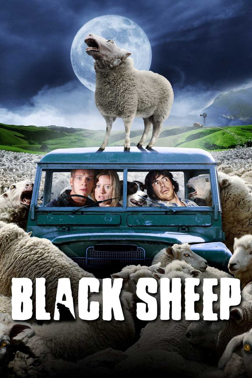 Black Sheep 2 Will Begin Filming in 2025