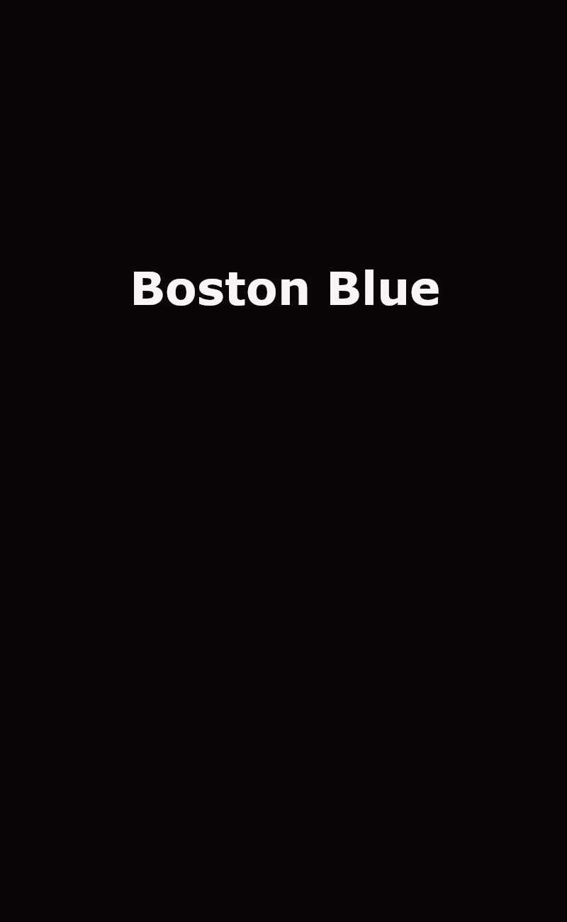 'Boston Blue': Every New and Returning Character in the 'Blue Bloods ...
