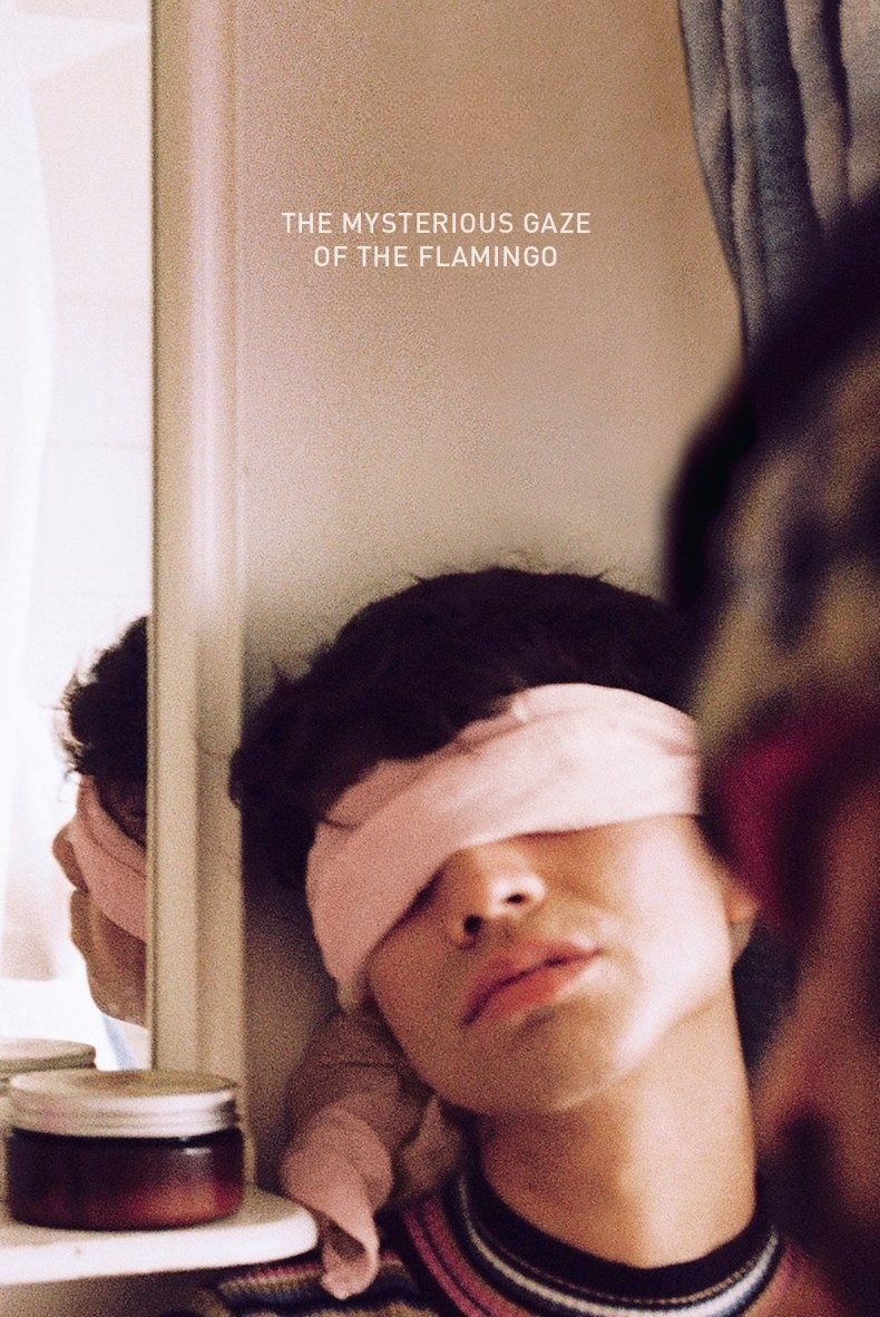 The Mysterious Gaze of the Flamingo | MovieWeb