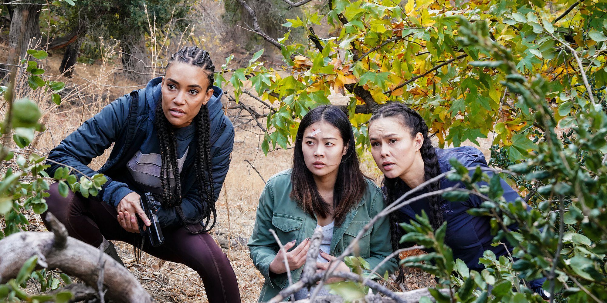 The Action Crime Series That Was Outrageously Canceled 3 Times Is ...