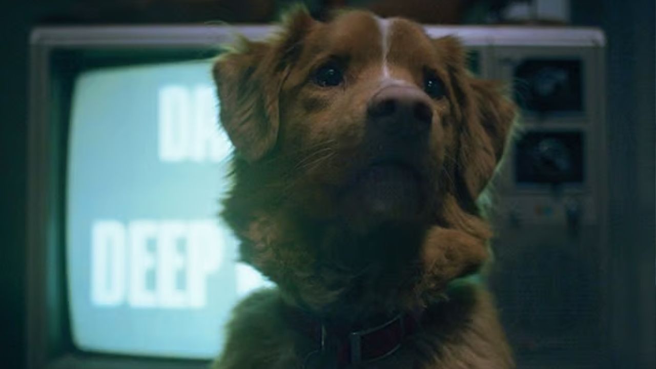 'Good Boy' Star Makes Movie History With Astra Film Awards Nomination