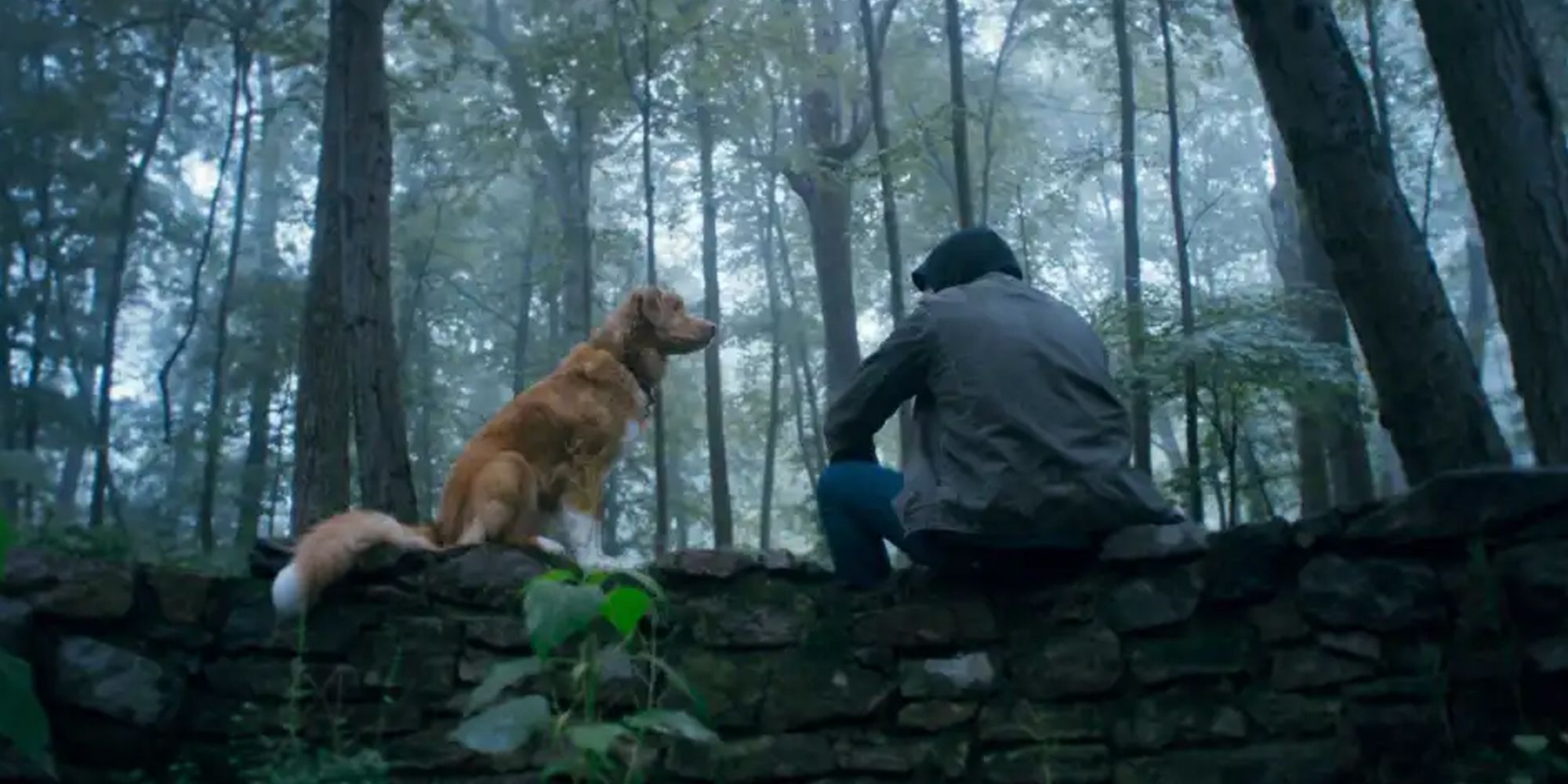 Why 'Good Boy' Fans Should Watch Stephen King's 'Cujo'