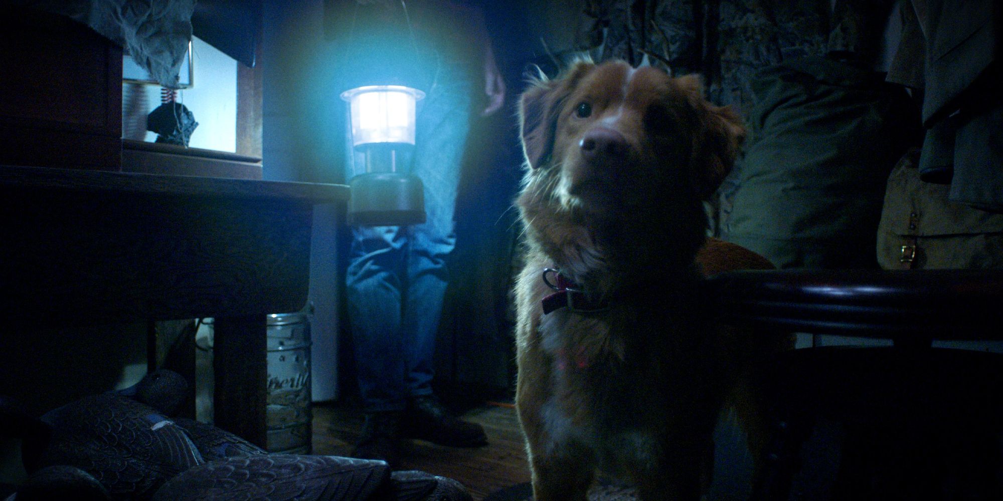 'Good Boy' Trailer Promises a Horror Experience Like No Other