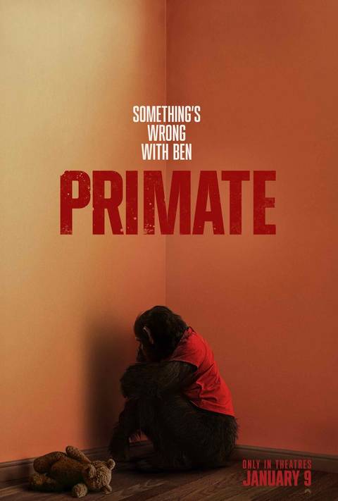 'Primate' Review: A Good Old-Fashioned Creature Feature Gorefest