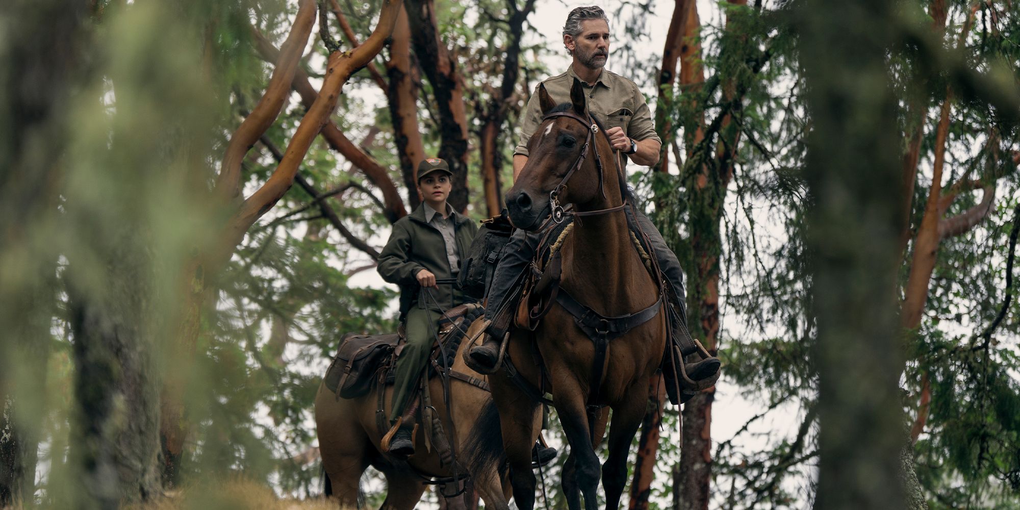 10 Best TV Murder Mysteries Set in the Woods Like 'Untamed'