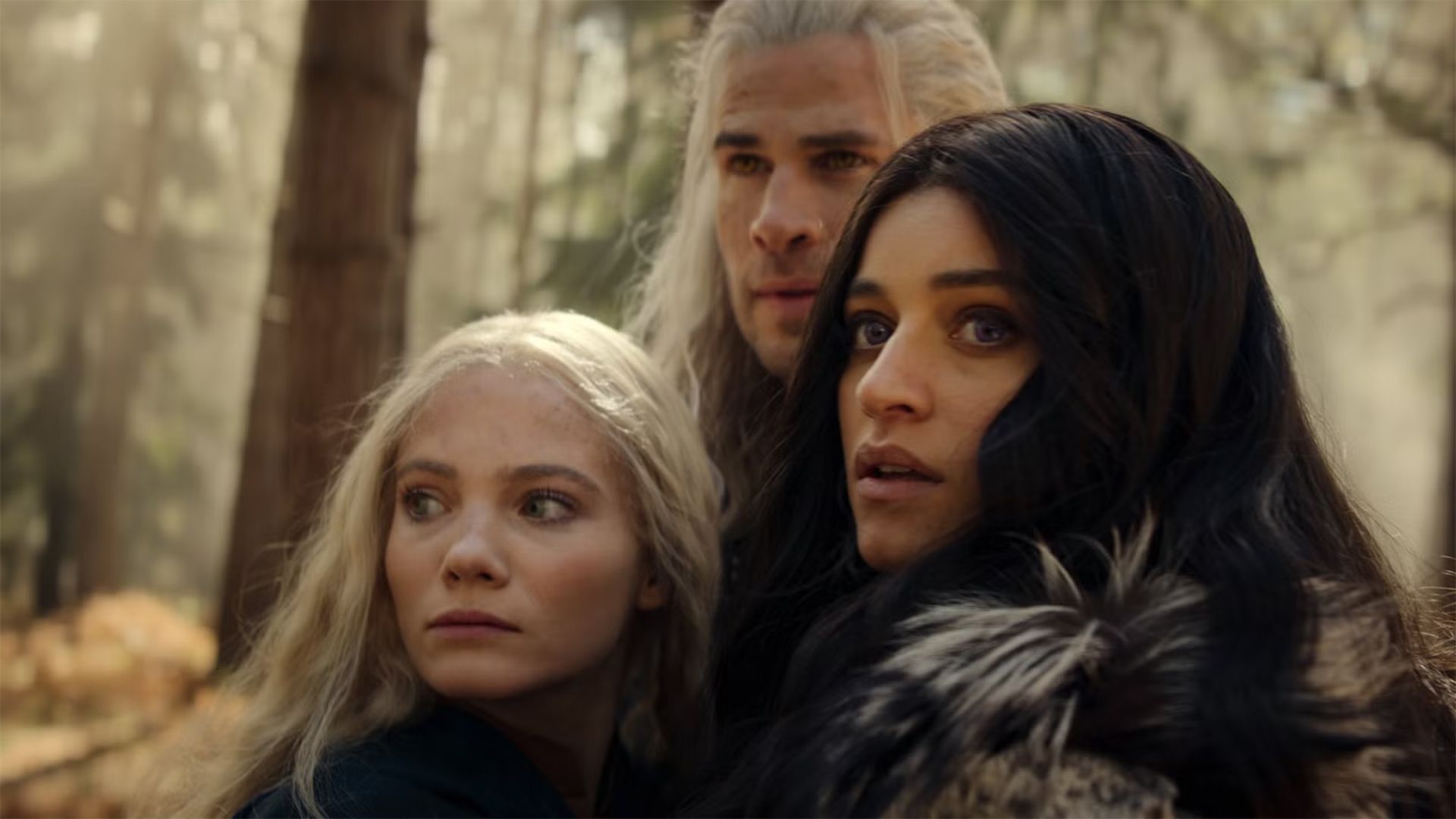 Netflix Reveals New Cast Members for 'The Witcher' Season 4 and 5
