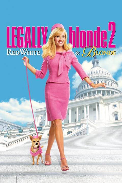 20 Movies Like Legally Blonde to Watch Next