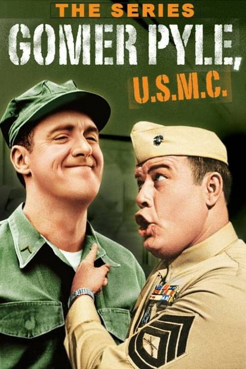 Best Classic Sitcoms of the 1960s